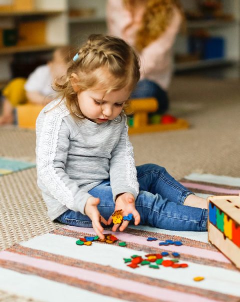 The “MOEC” project | Moec